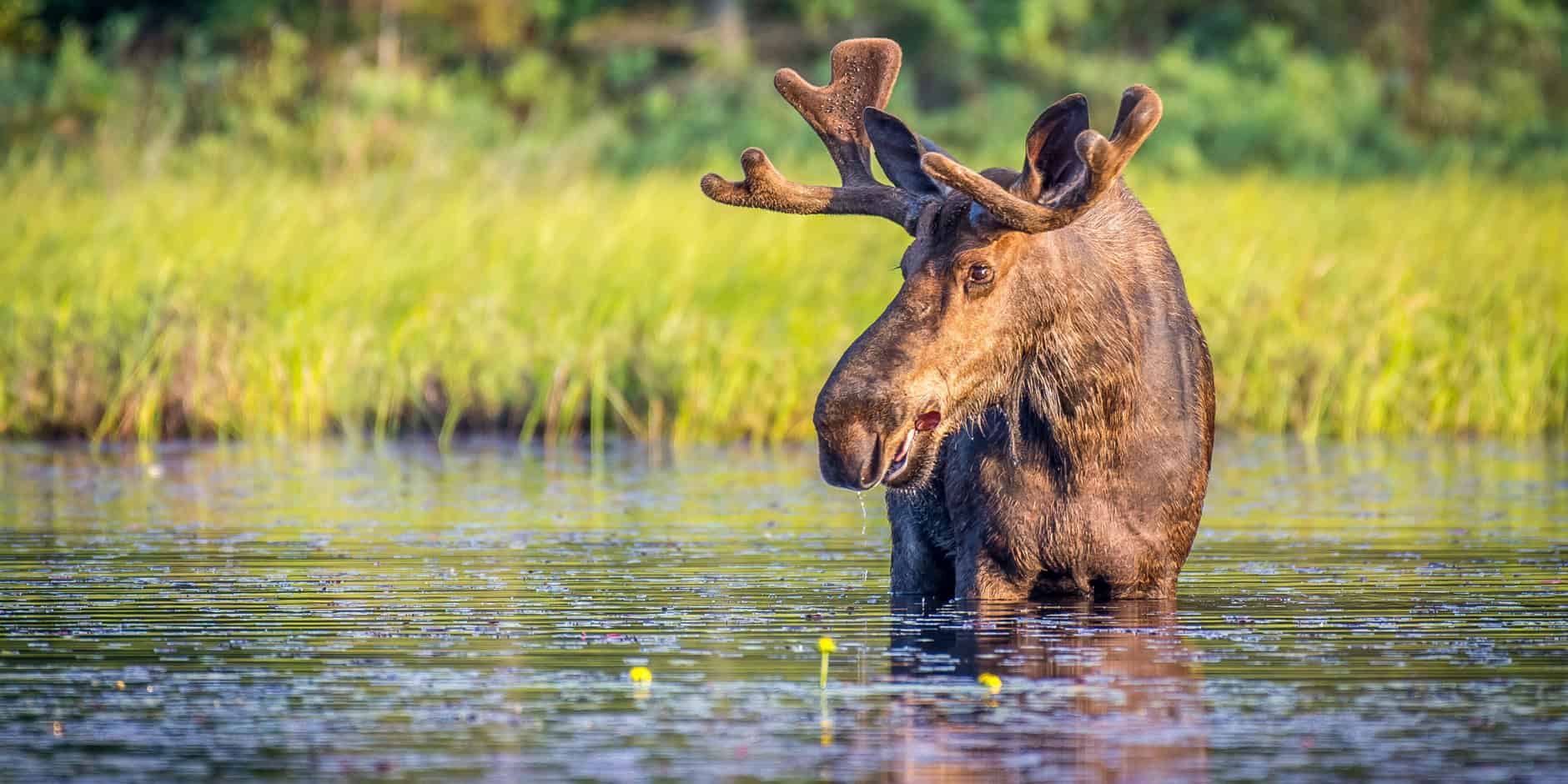 Resource Development - Wabun Tribal Council
